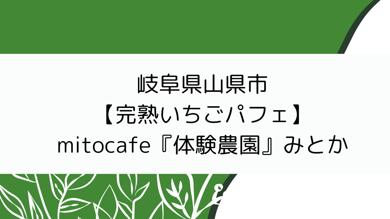 岐阜県山県市【完熟いちごパフェ】mitocafe『体験農園みとか』いちご狩り予約【大とくさん紹介】